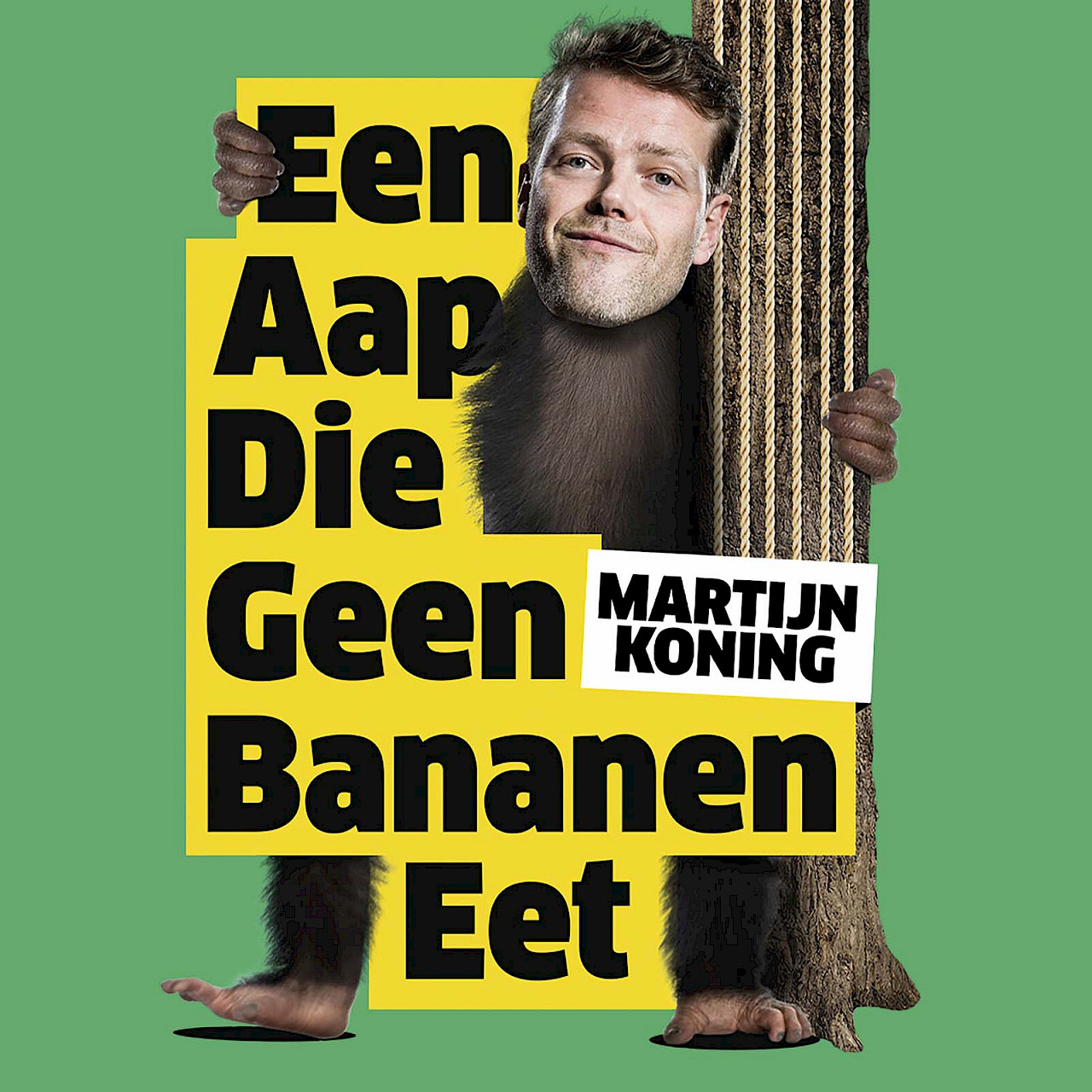 Martijn Koning